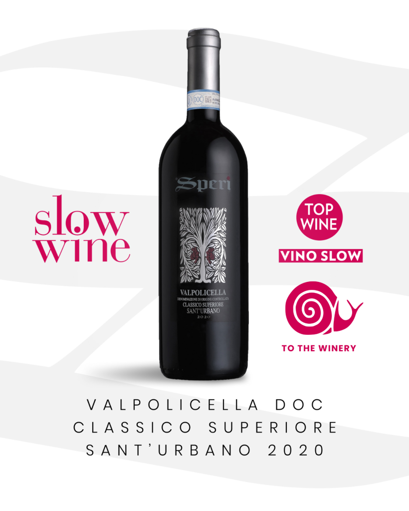 SNAIL TO THE CELLAR FROM SLOW WINE 2024 | Speri Viticoltori